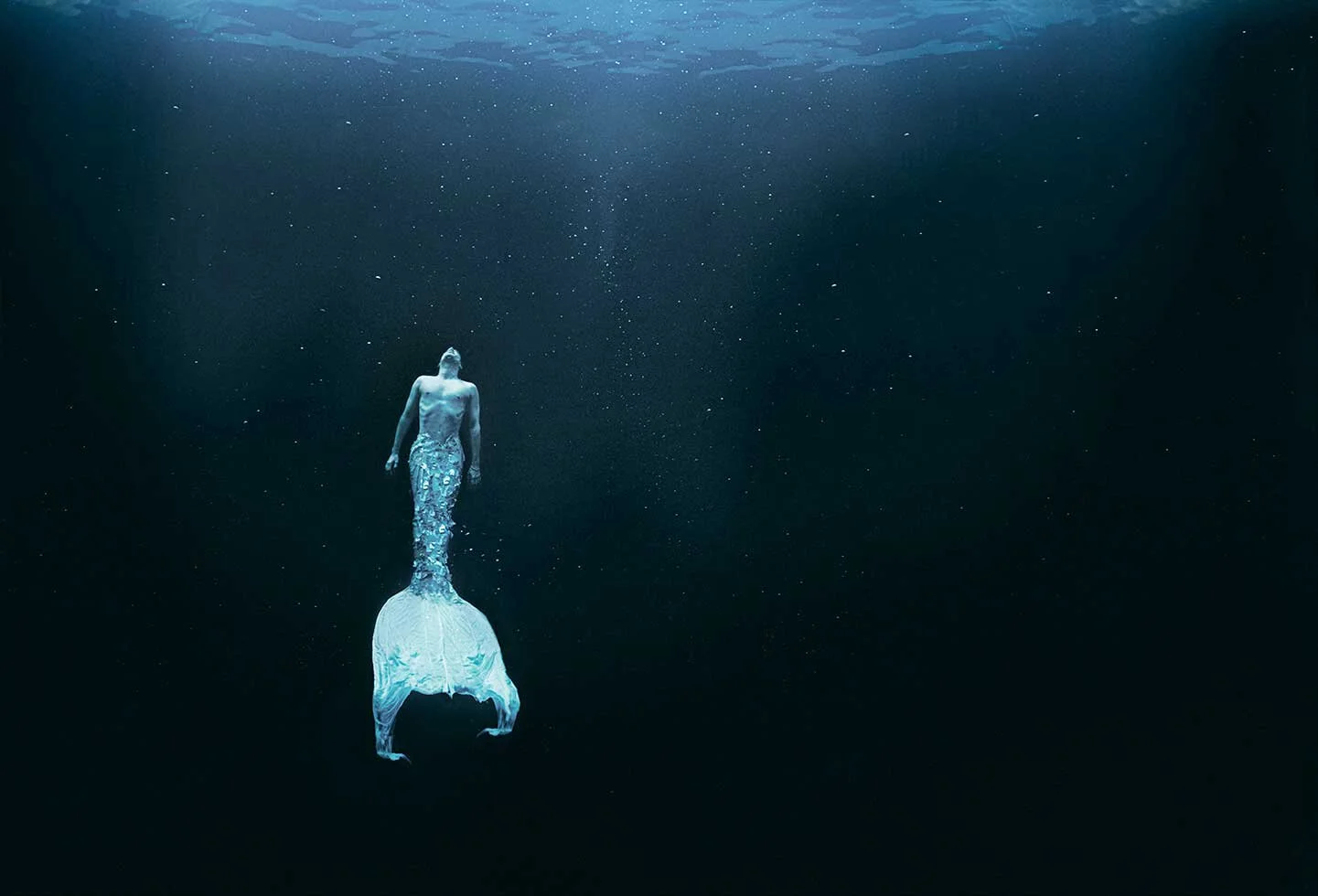 Underwater photography of mermaids swimming in the ocean and seahorses ...