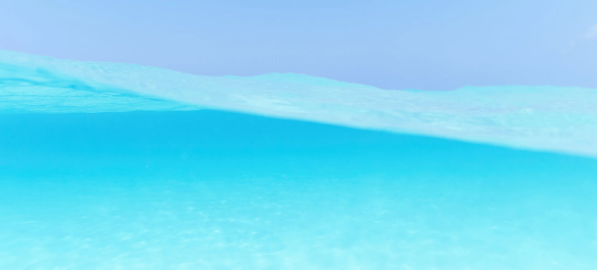 Underwater Photographer & Director — Zena Holloway