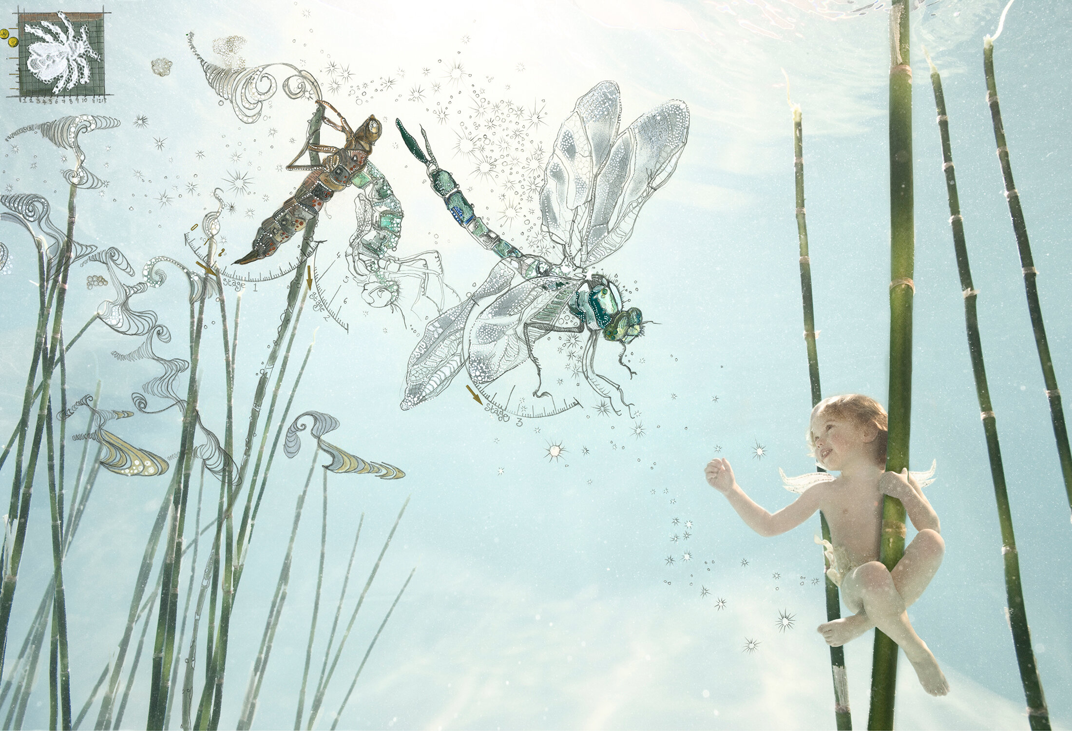 A series of magical underwater images of babies and children swimming ...