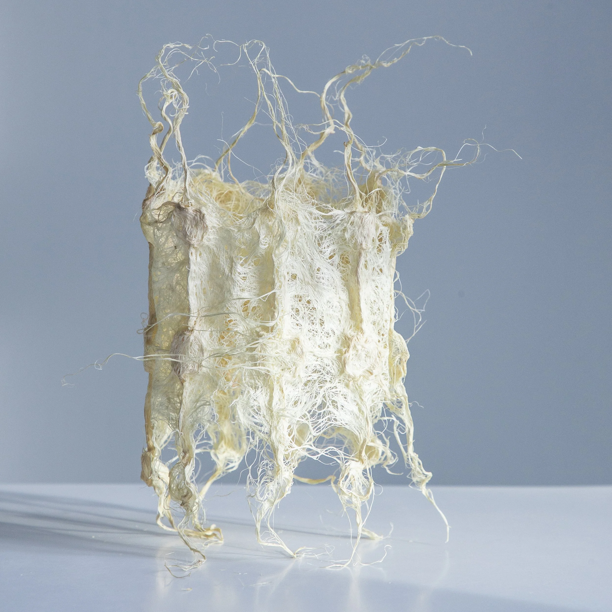 Sustainable root-grown, sculpture and wearables — Zena Holloway