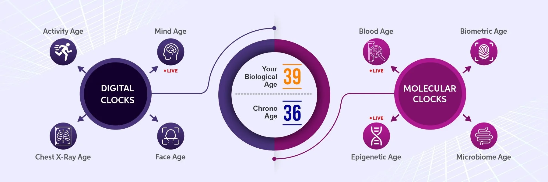Deep Longevity: Advancing Healthspan & Lifespan with AI Powered Aging Clocks