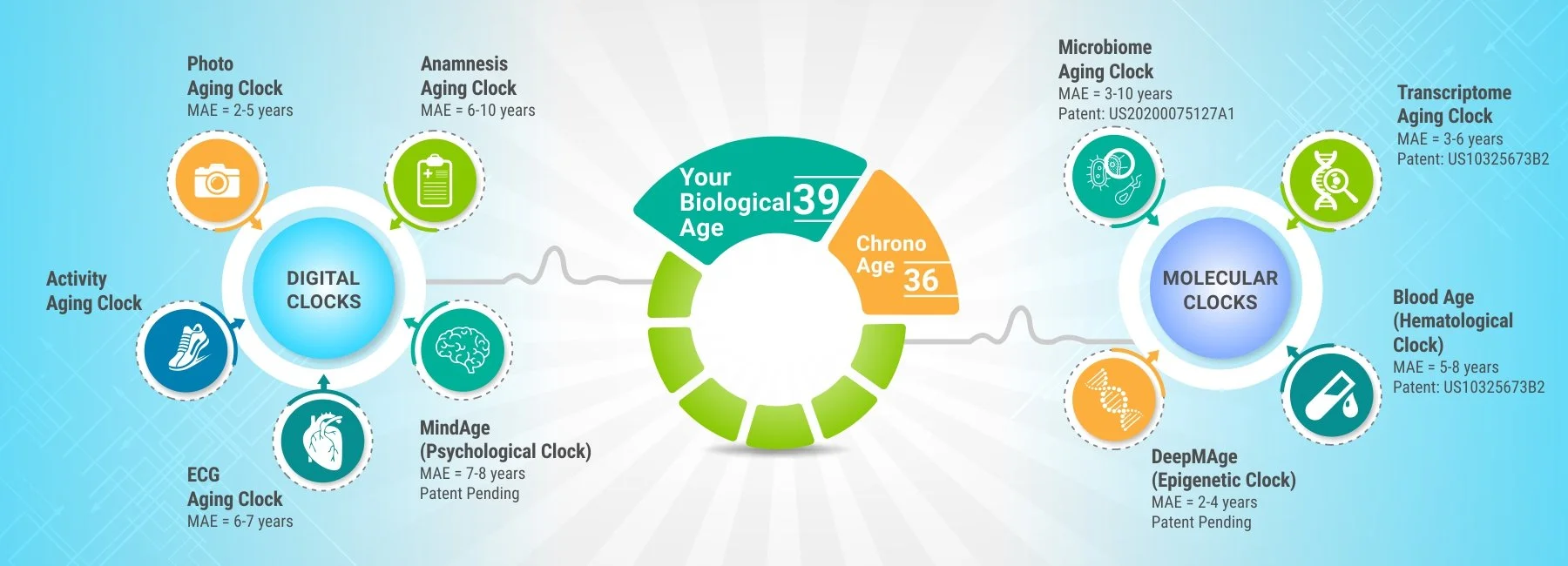 Deep Longevity: Advancing Healthspan & Lifespan with AI Powered Aging Clocks