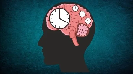 Access The Most Powerful Aging Clocks developed by Deep Longevity ...