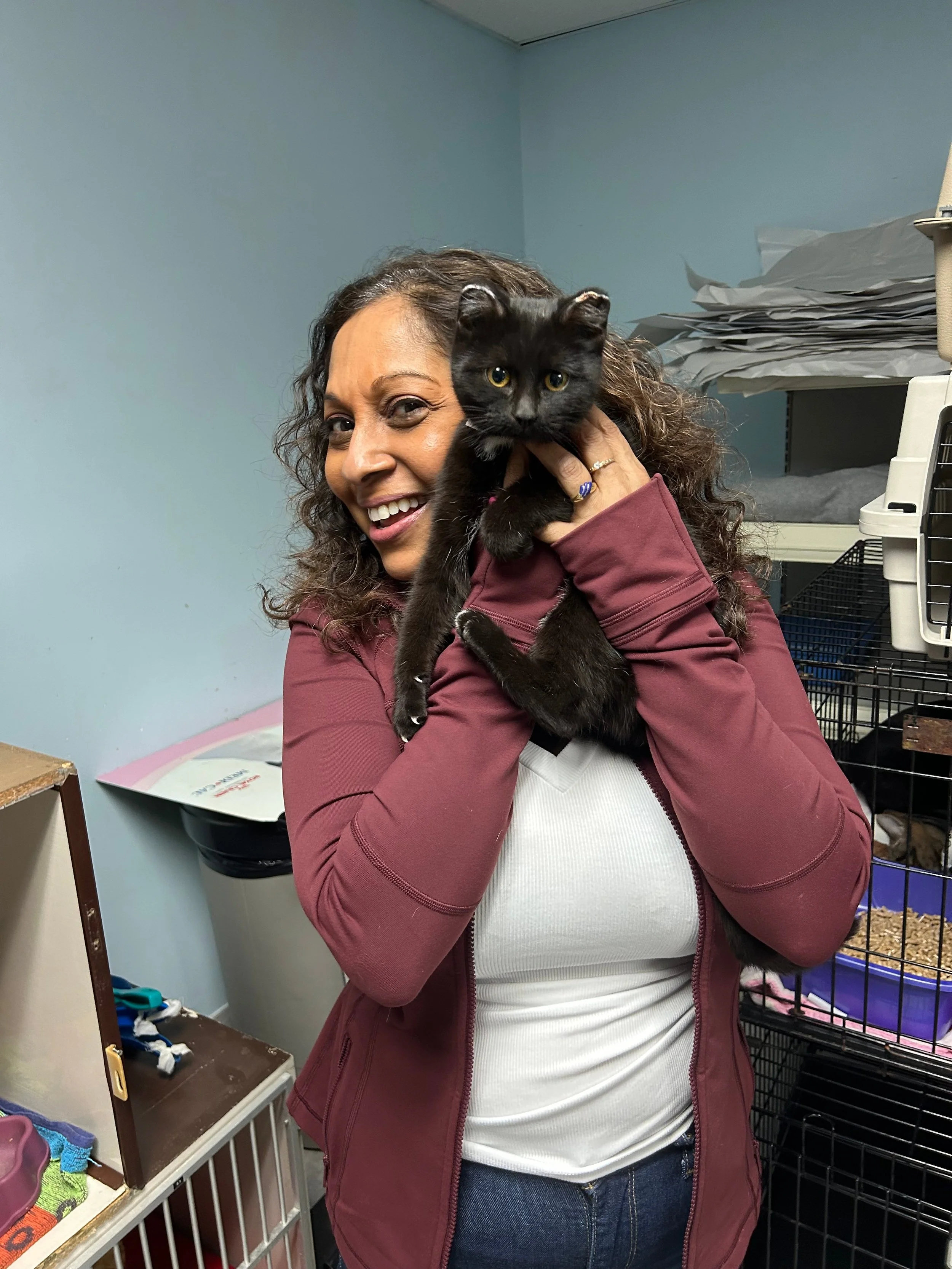 NationalAdoptionWeek2023 — Toronto Cat Rescue