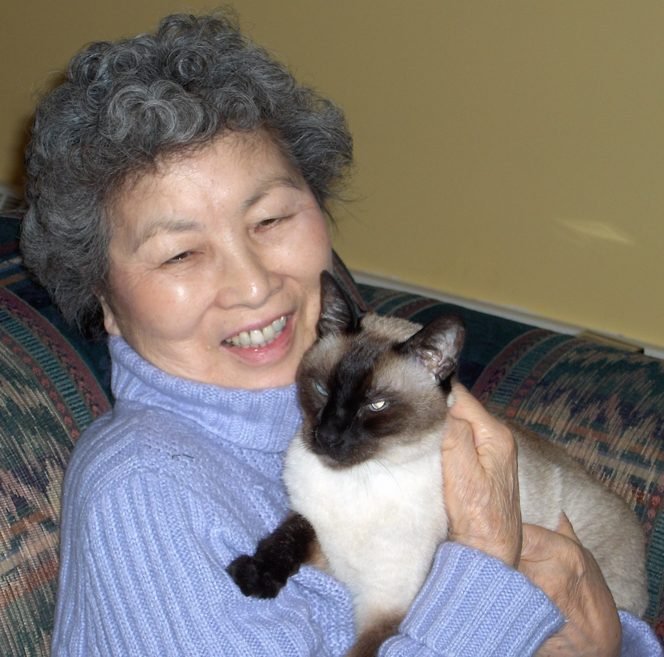 Cat Rescue Donation Toronto & Cat Shelter Donations - Toronto Cat ...