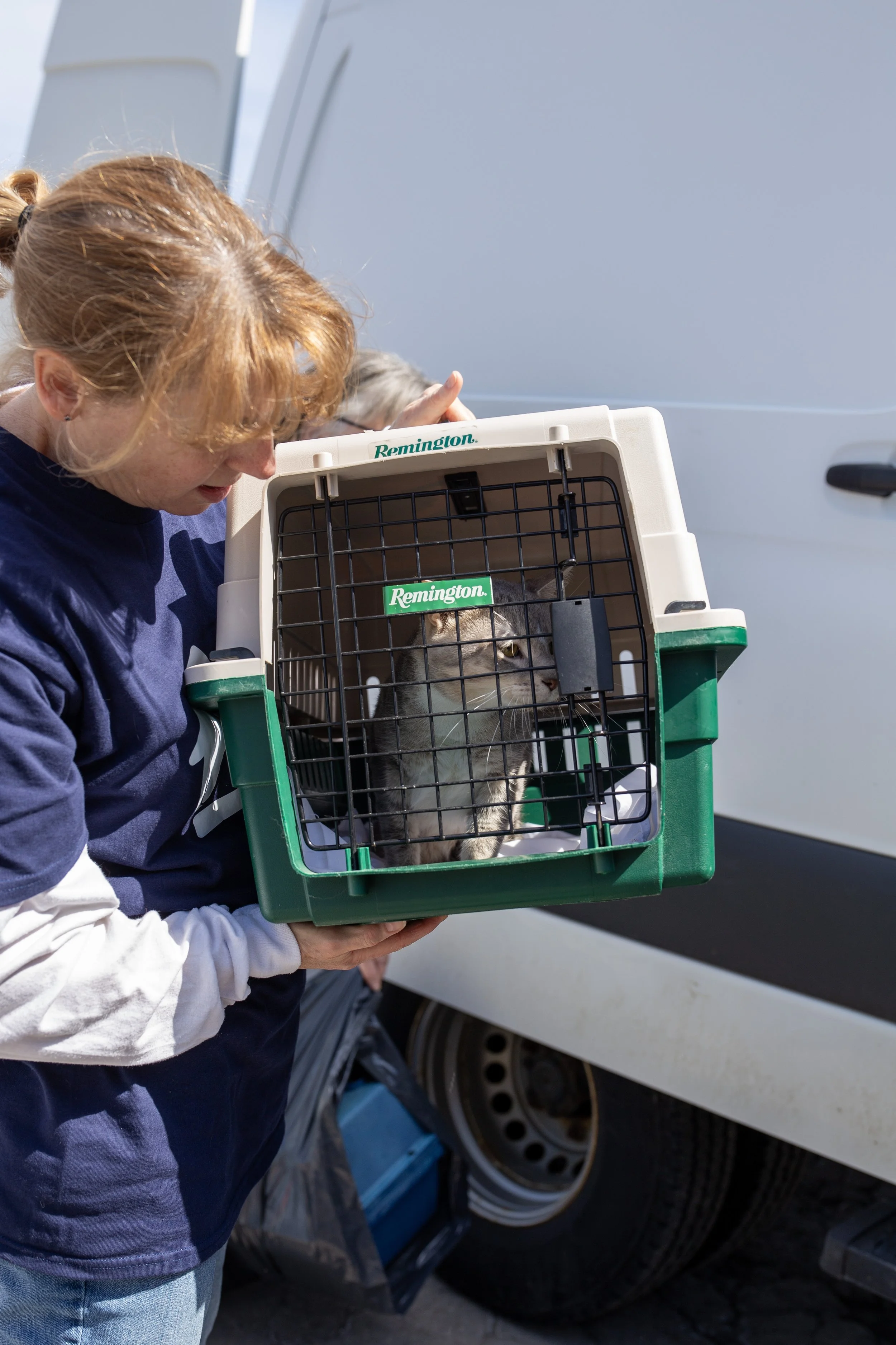 Cat Rescue Toronto | Near Me - Toronto Cat Rescue