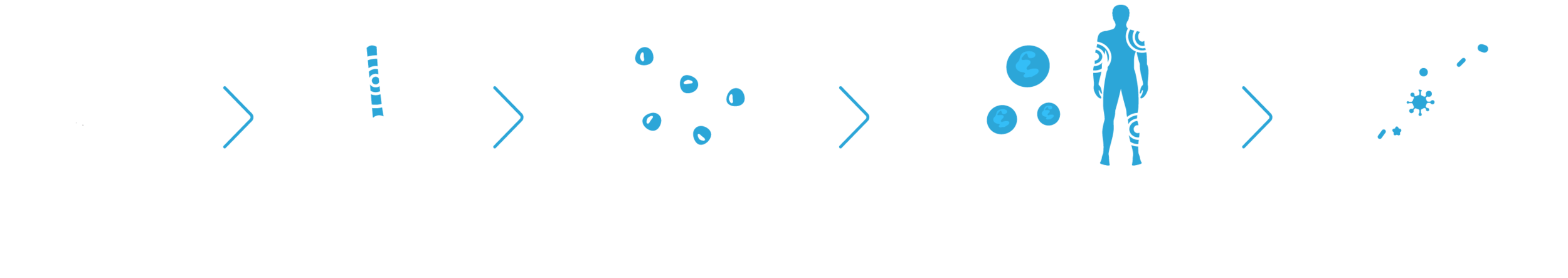 Vasper Cold HIIT — Bodyhack Labs