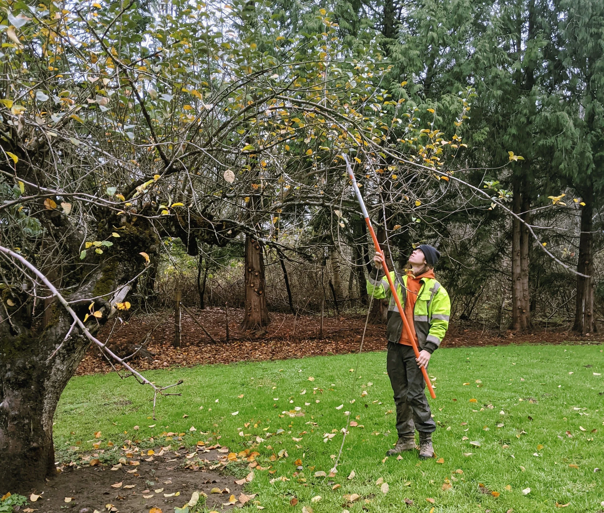 Dependable Yard Care