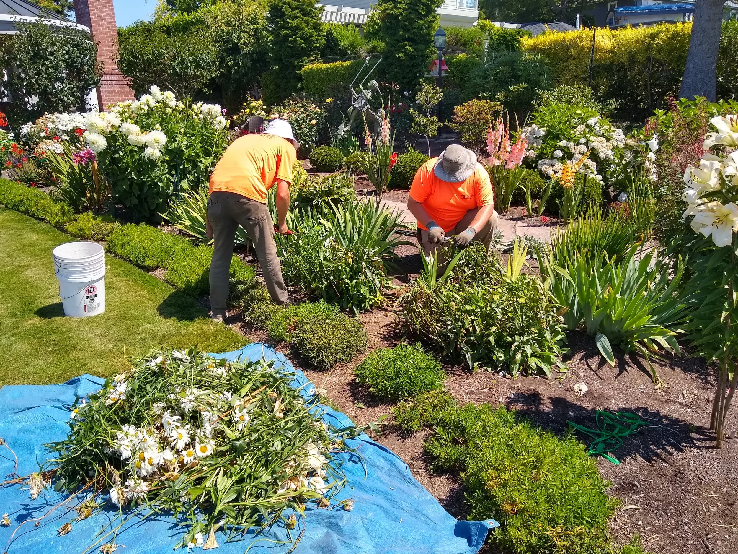 Dependable Yard Care