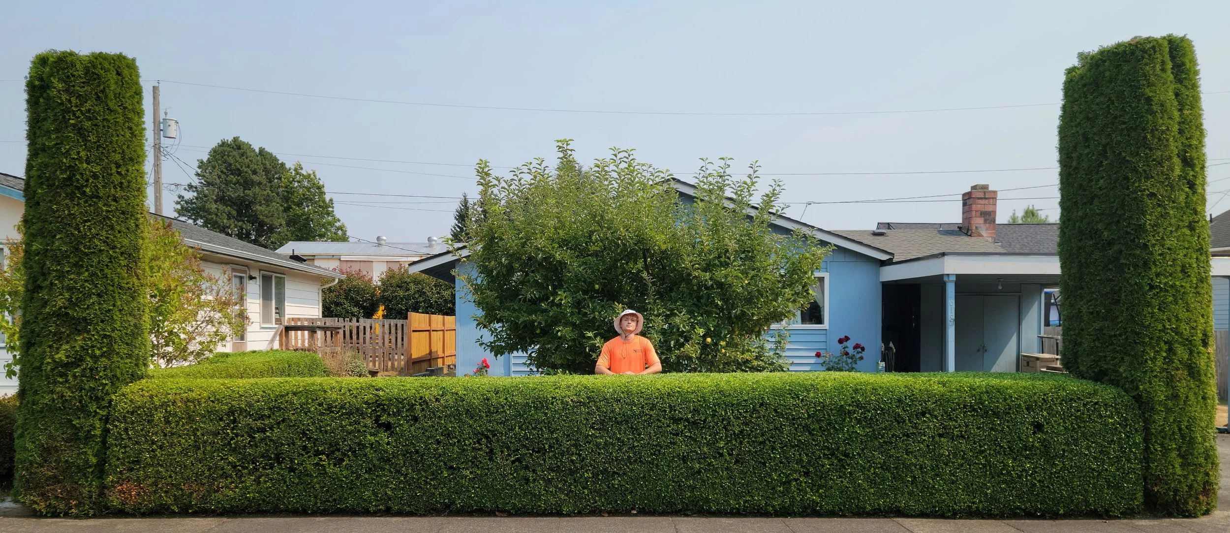 Dependable Yard Care