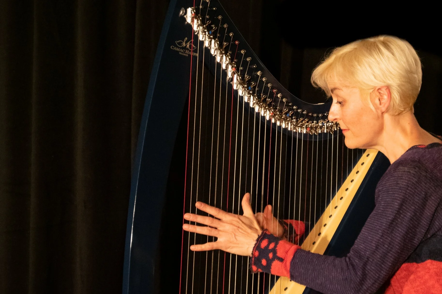 Tutors — Harp In Scotland ONLINE