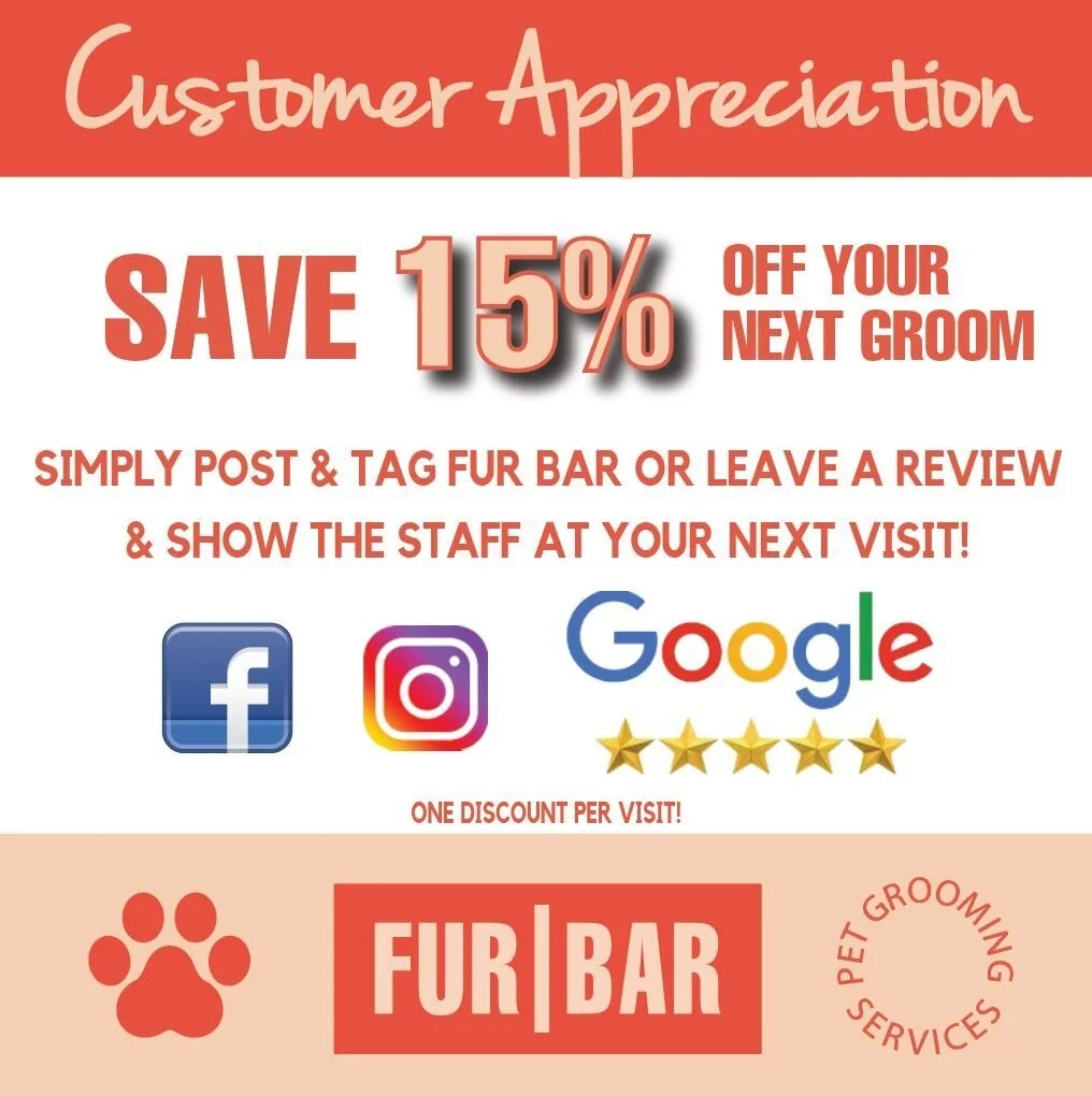 PHOTO GALLERY — Fur Bar