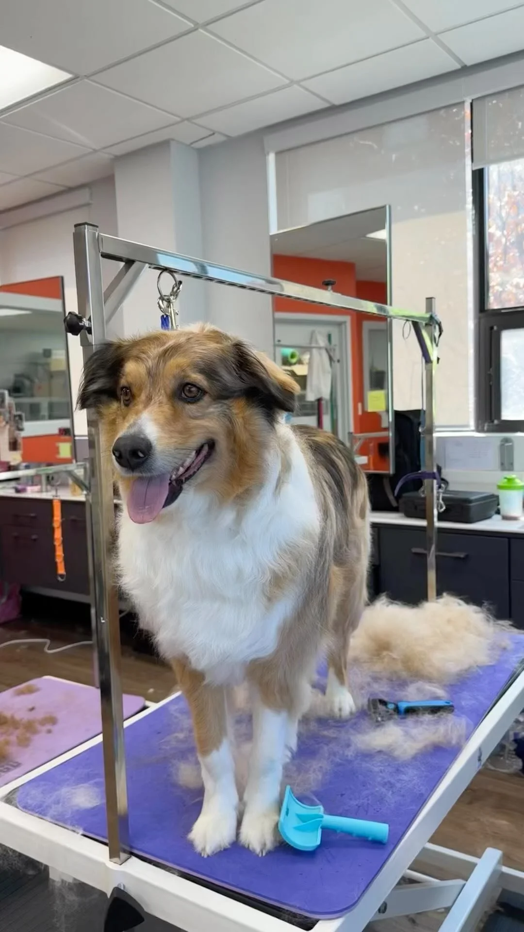 PHOTO GALLERY — Fur Bar