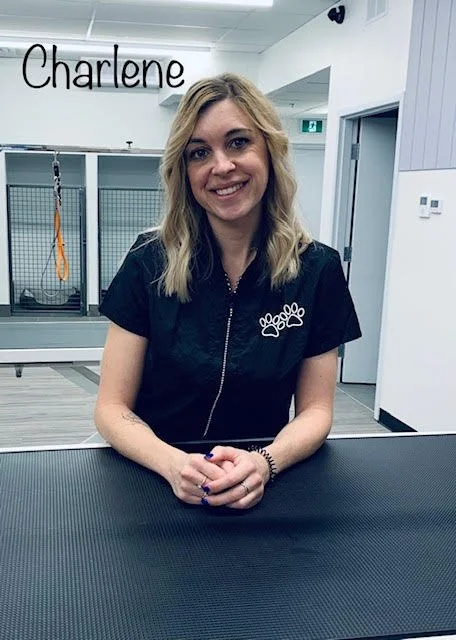 GROOMERS — Fur Bar