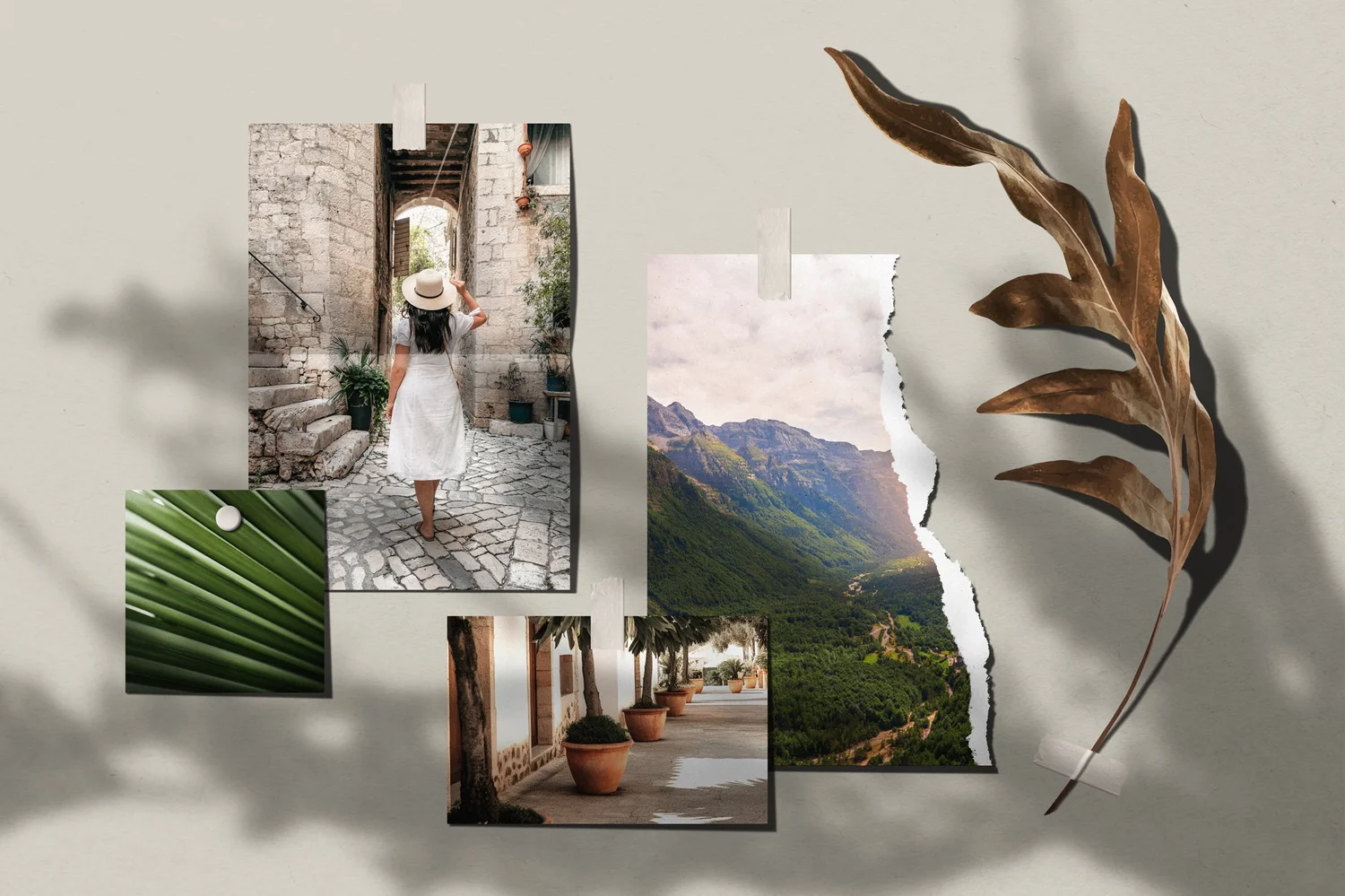 Unleashing the Power of Visual Storytelling — curated sundays