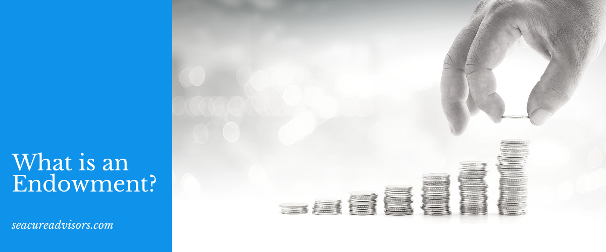 What is an Endowment? — SeaCure Advisors
