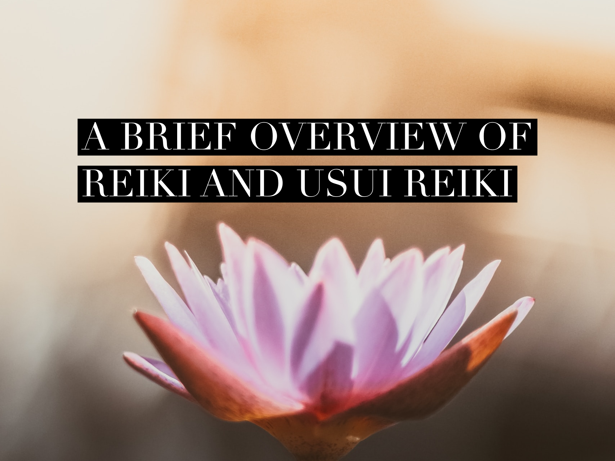 Healing in the present for generational wellness. 🌱 Intuitive Wellness ...