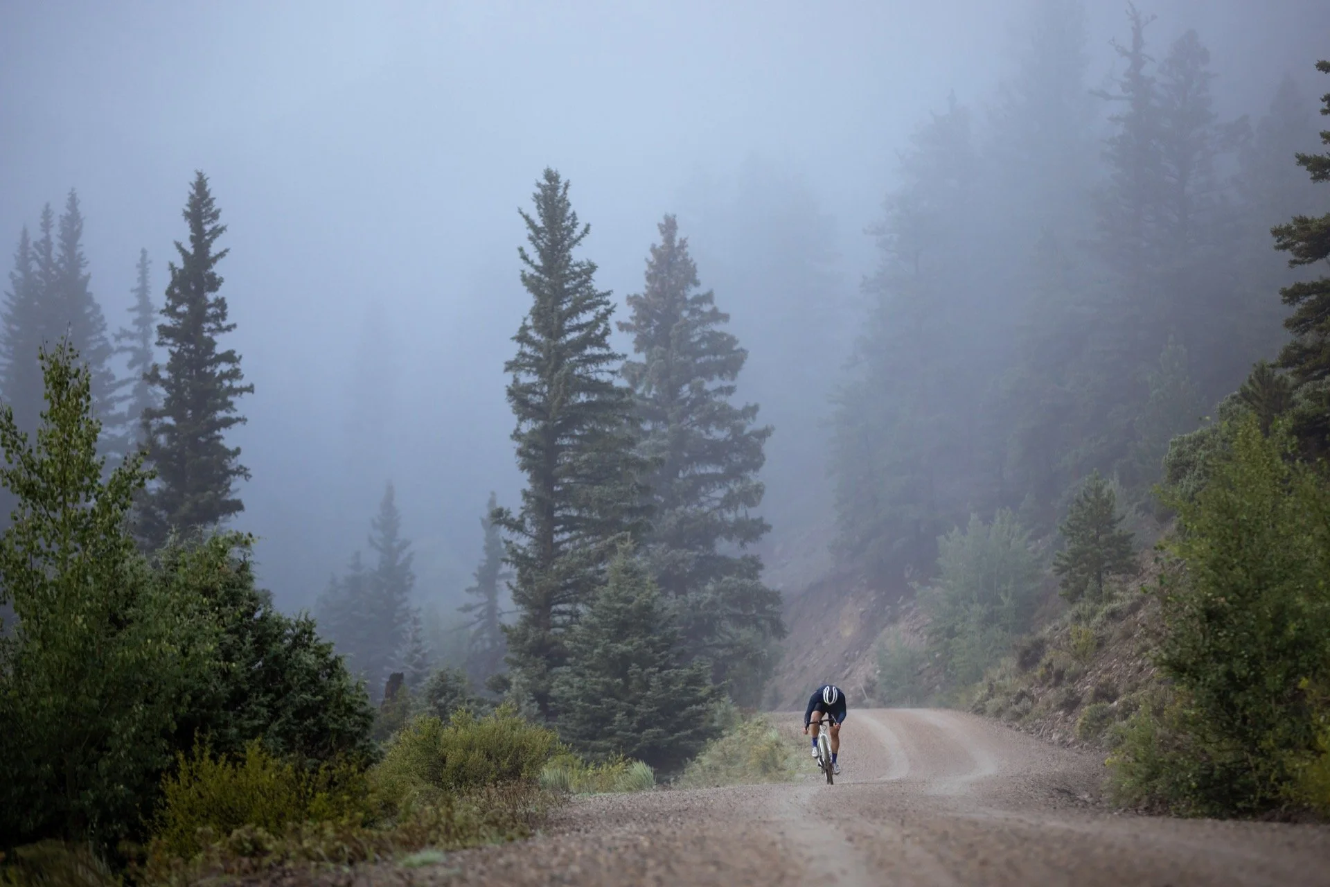 Wilderness Trail Bikes — Emily Sierra | Colorado Outdoor Lifestyle ...