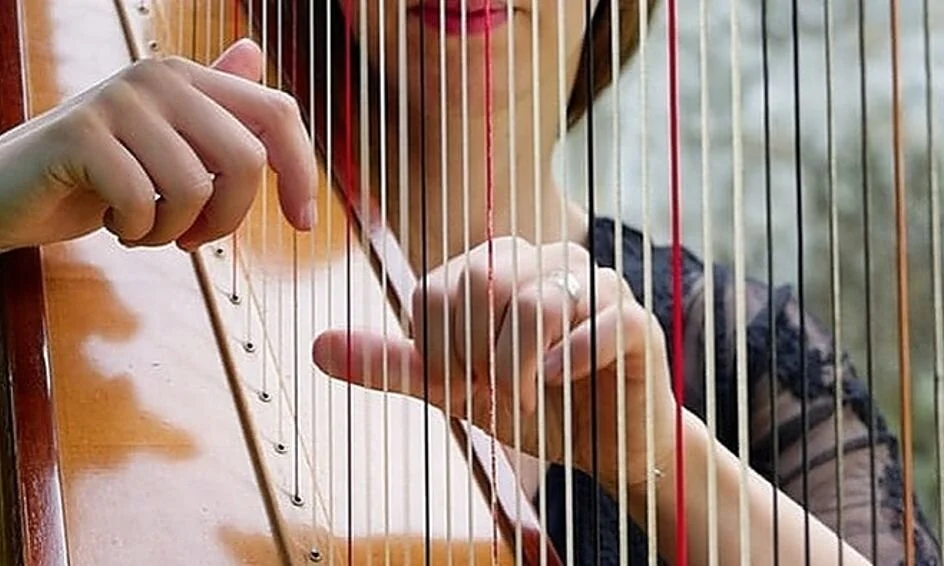 Music Lessons — La Jolla Music