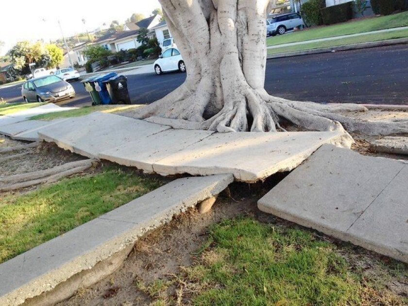 Sidewalk Repair Guide — LANI