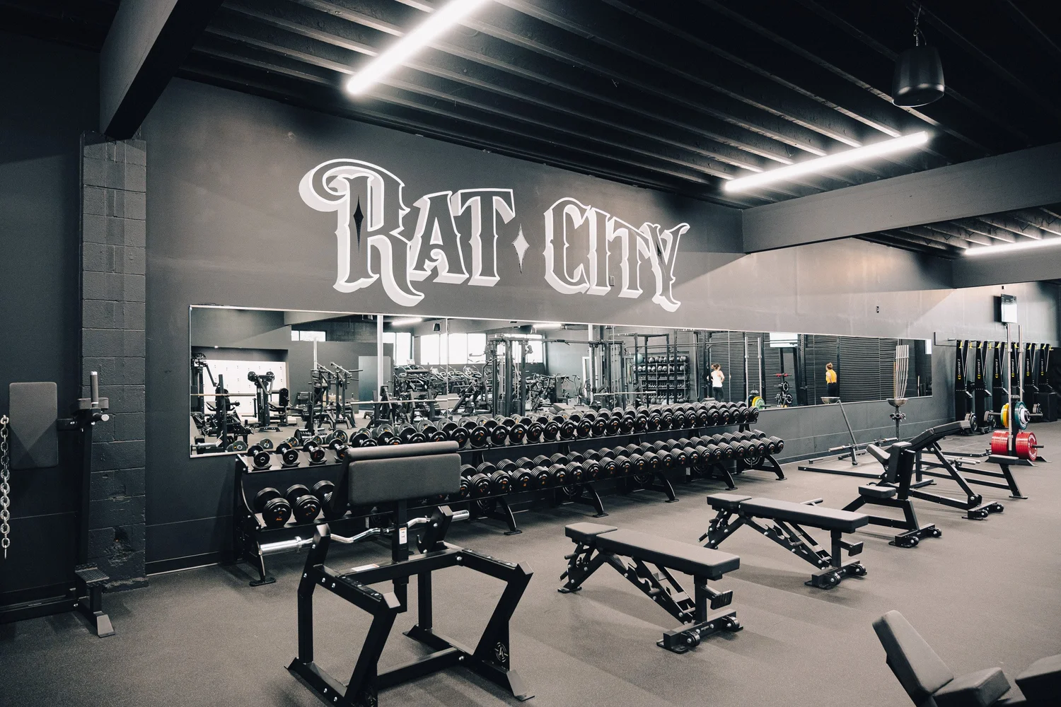 Strong Life Training