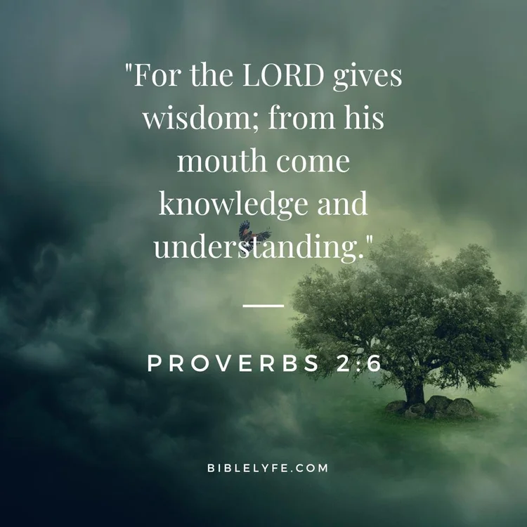 30 Enlightening Bible Verses about Wisdom — Bible Lyfe