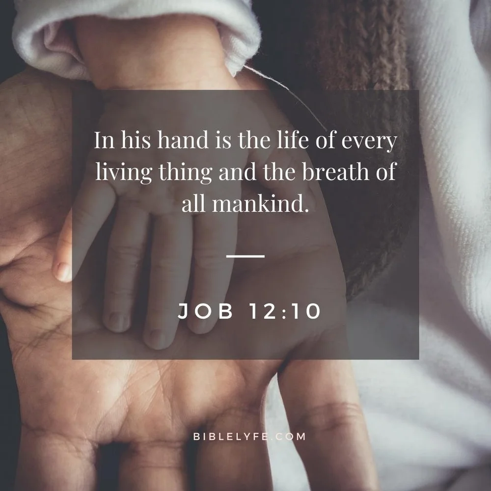 God is in Control Bible Verses — Bible Lyfe