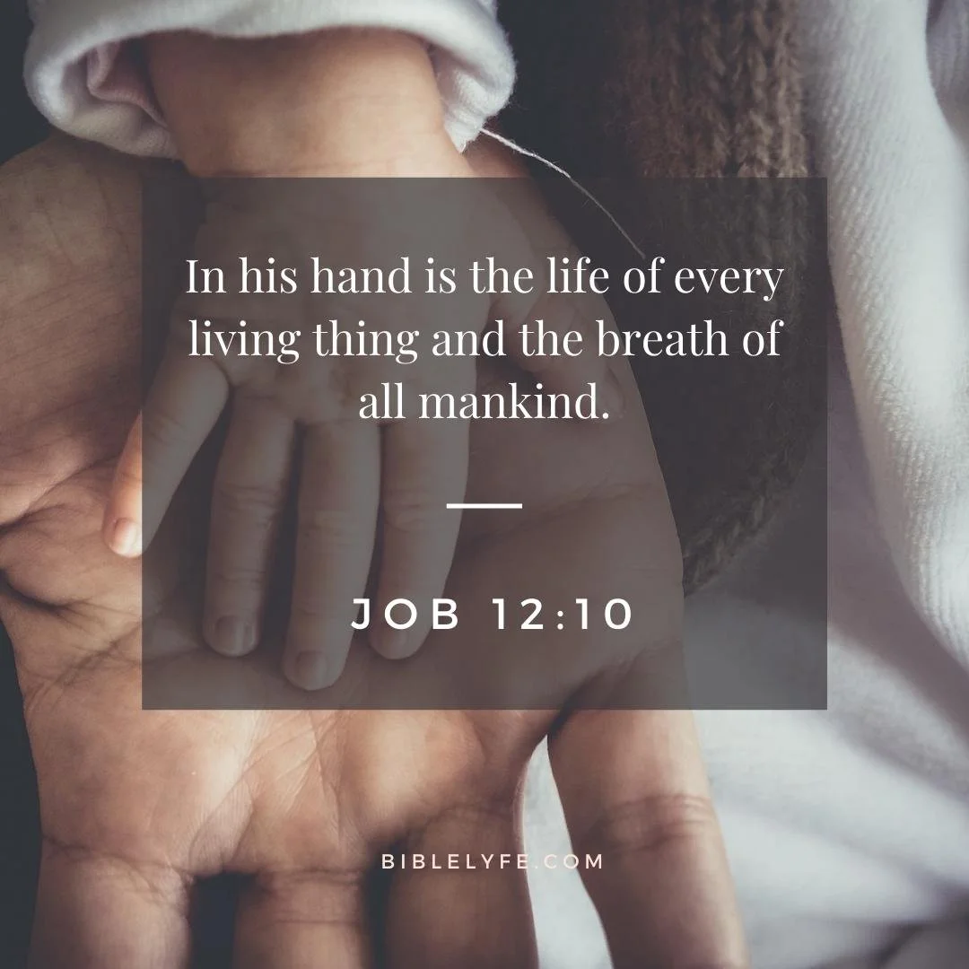 God is in Control Bible Verses — Bible Lyfe