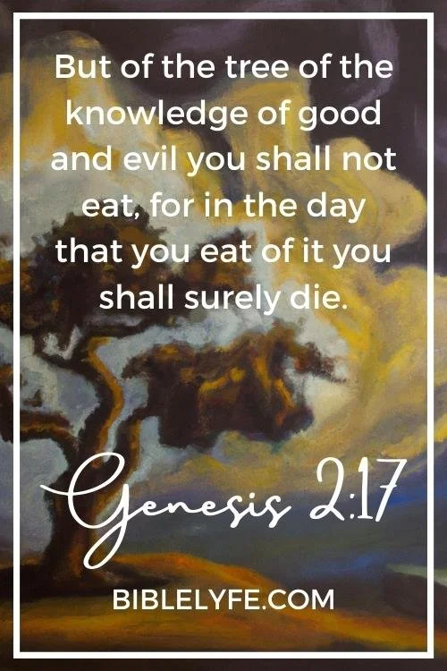 Sin Defined - Moral Failure to Freedom in Christ — Bible Lyfe