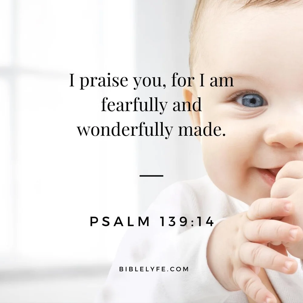 25 Bible Verses to Celebrate Birthdays — Bible Lyfe