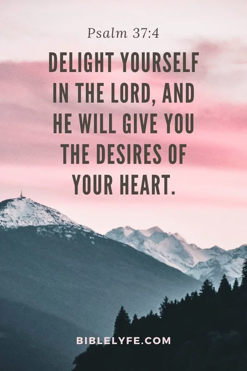 51 Amazing Bible Verses about God’s Plan — Bible Lyfe