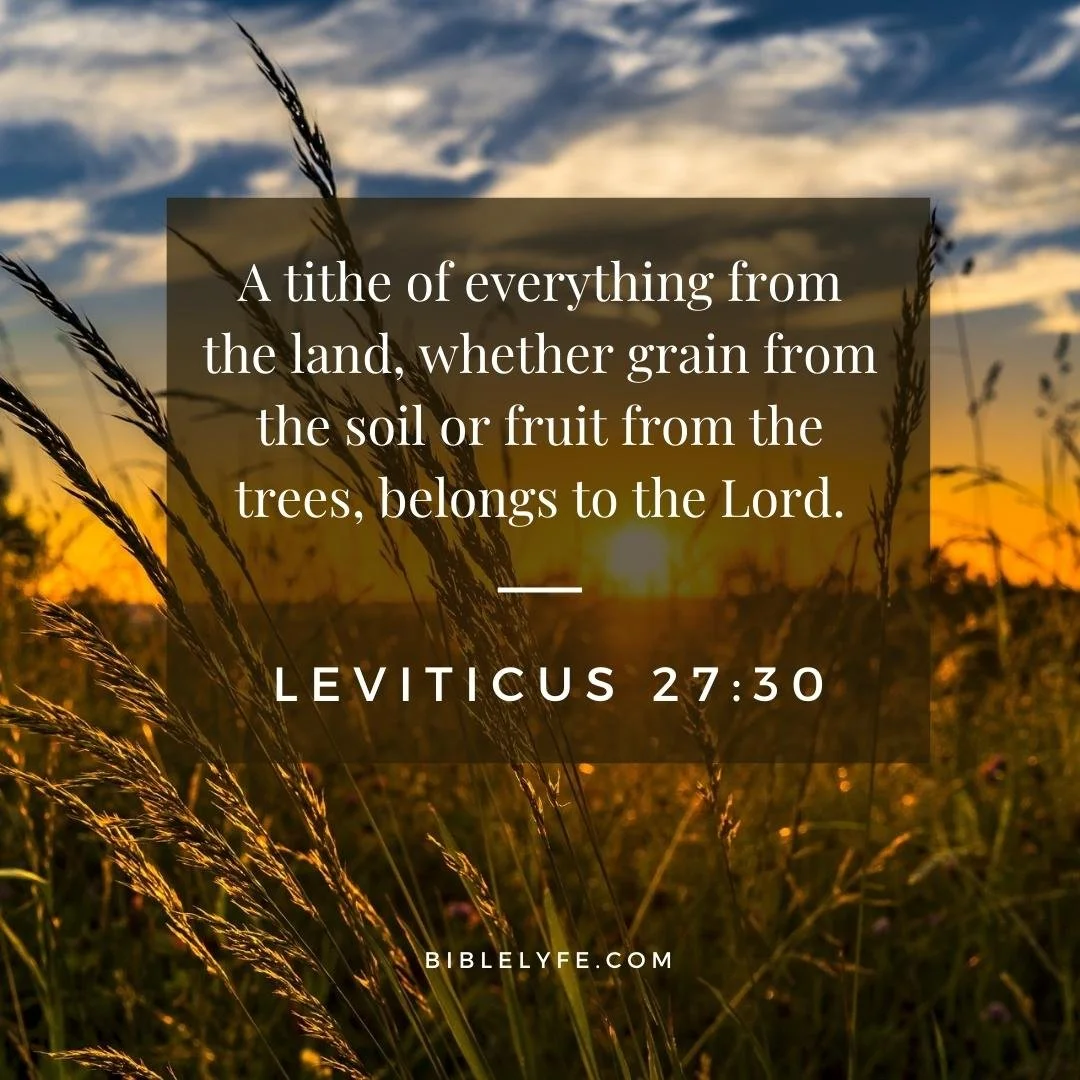 Key Bible Verses about Tithes and Offerings — Bible Lyfe