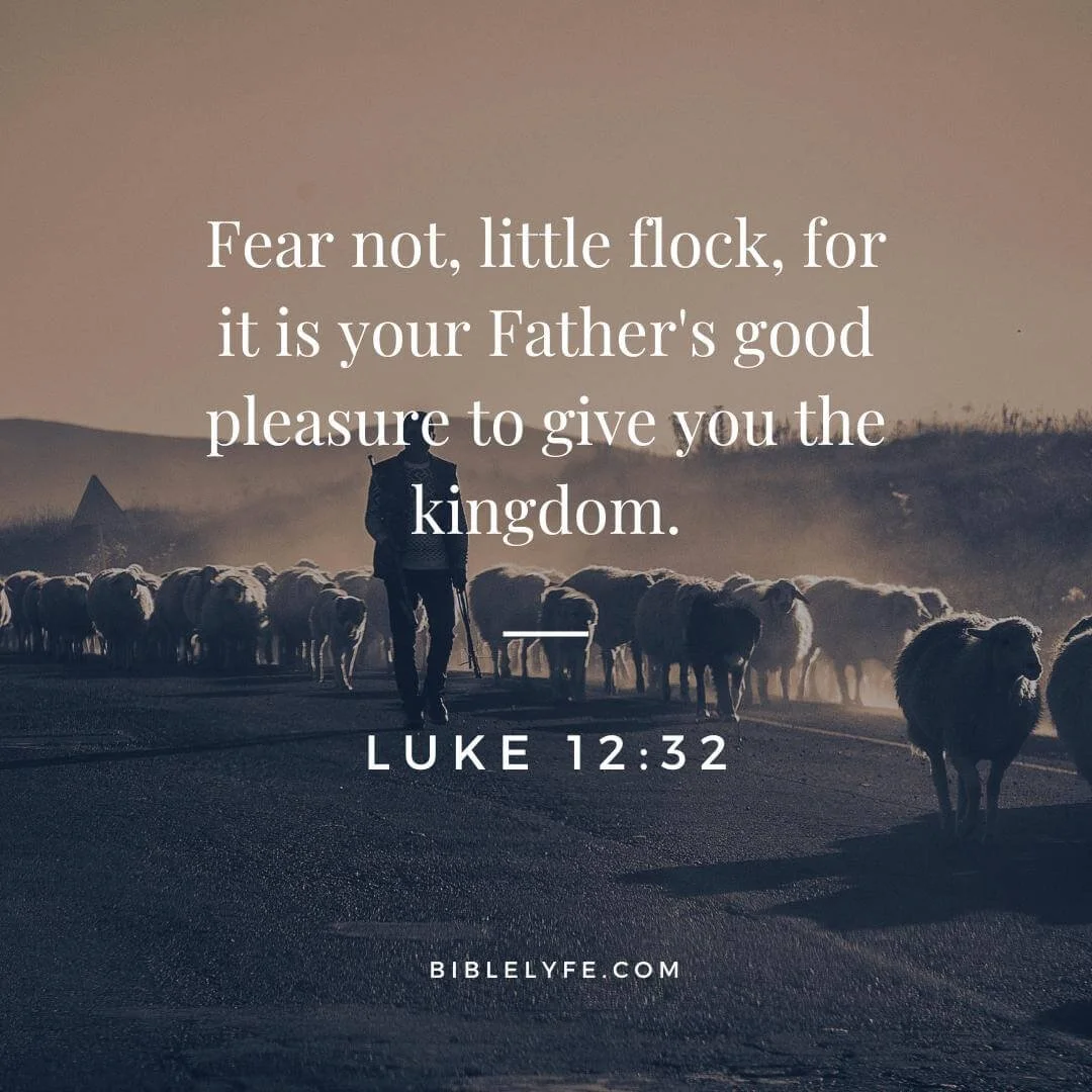 39 Magnificent Bible Verses about God, the Father — Bible Lyfe
