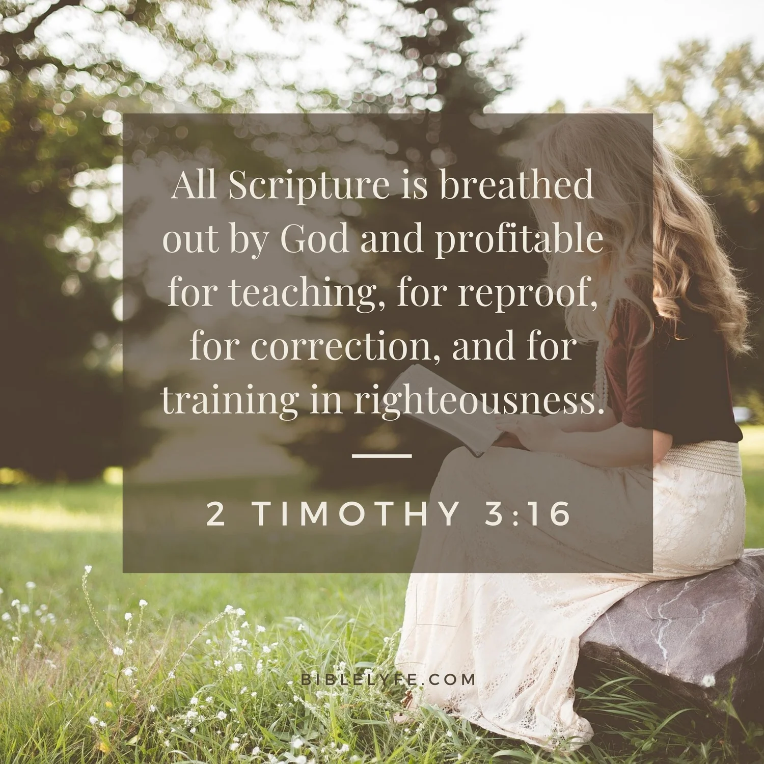 20 Bible Verses about the Inspiration of Scripture — Bible Lyfe