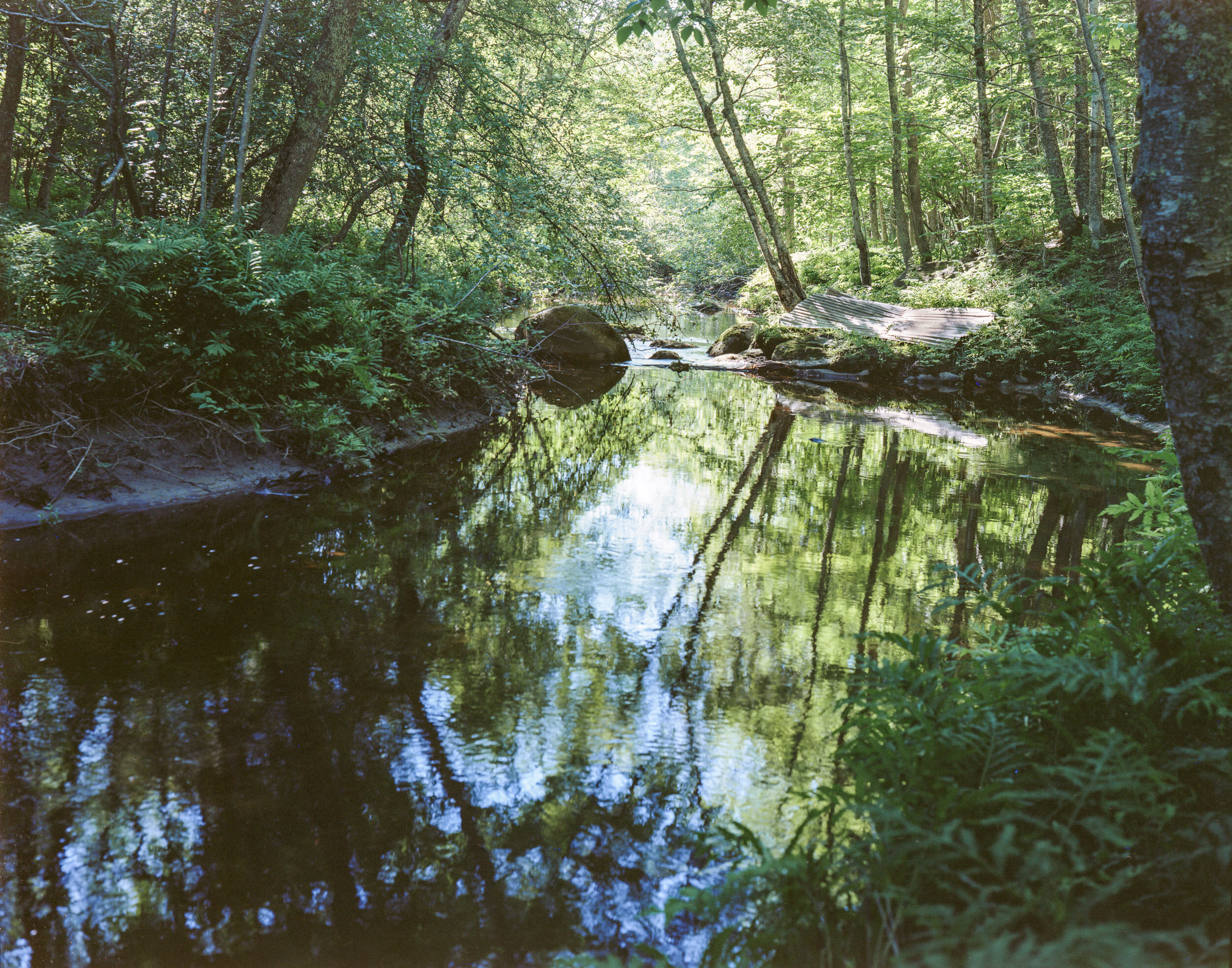 Goose River — Judy O'Dell