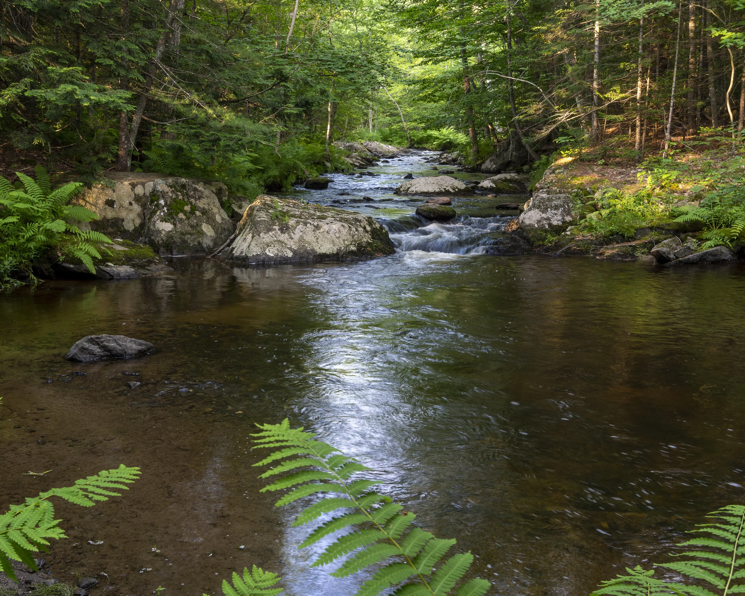 Goose River — Judy O'Dell