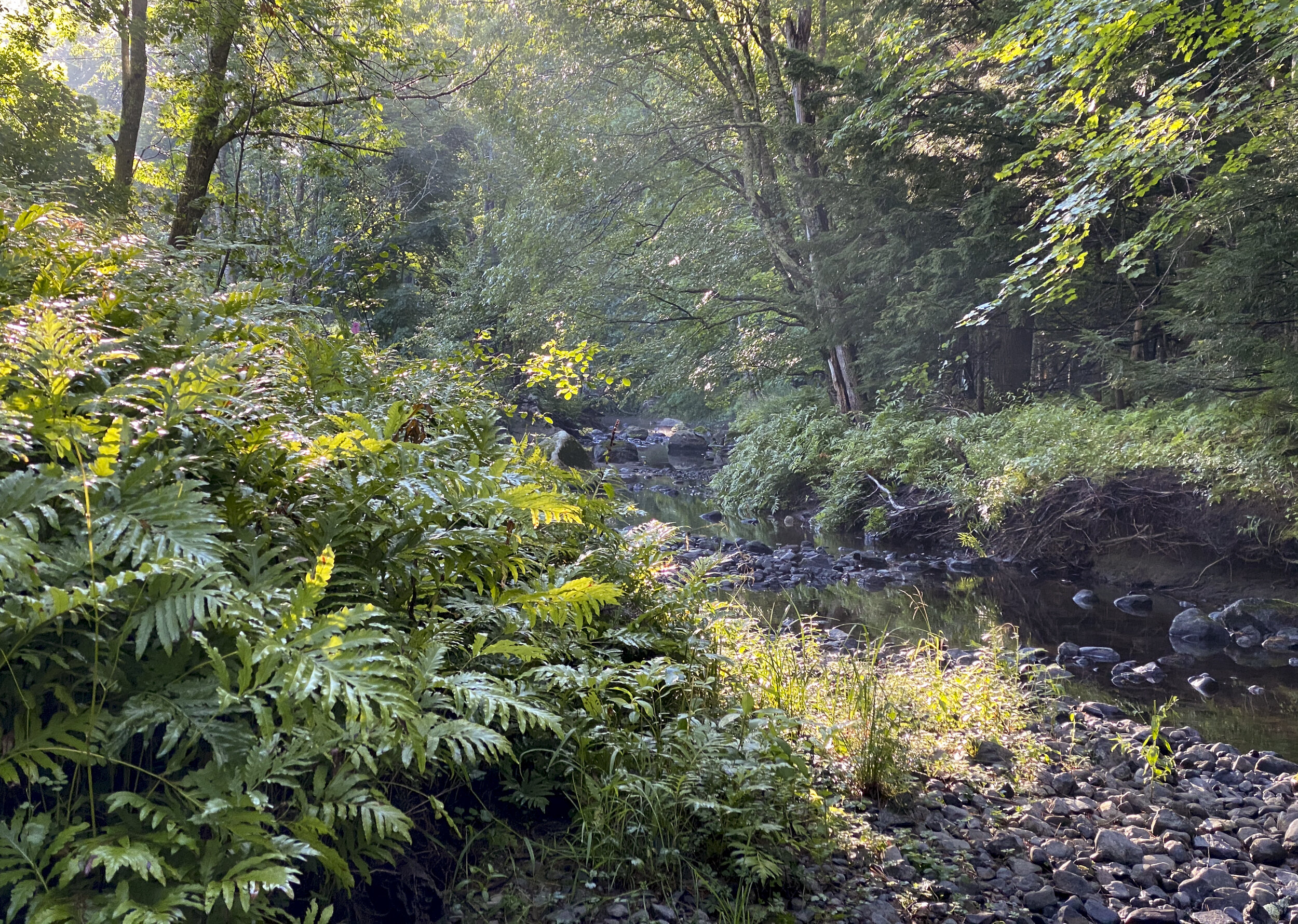 Goose River — Judy O'Dell