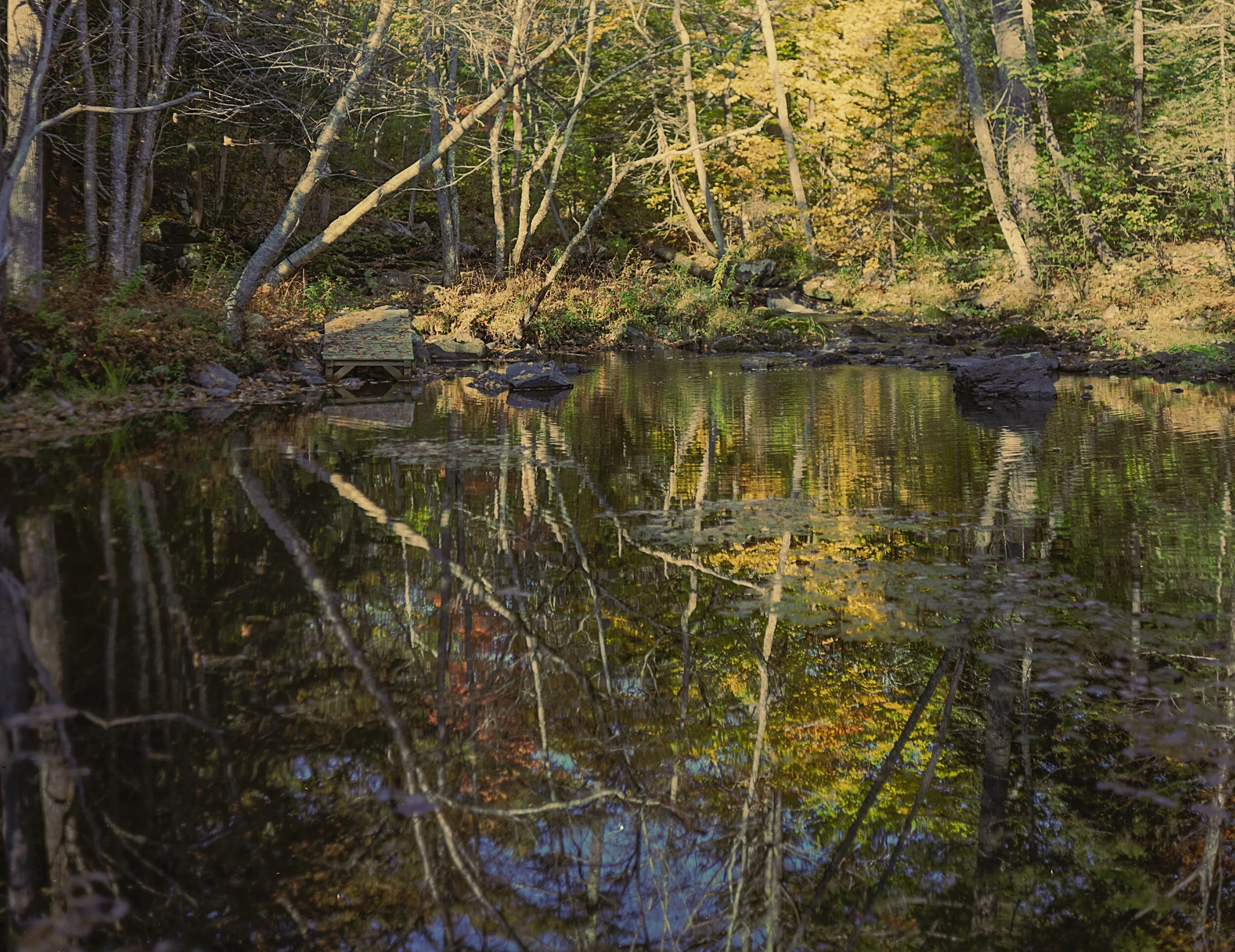 Goose River — Judy O'Dell