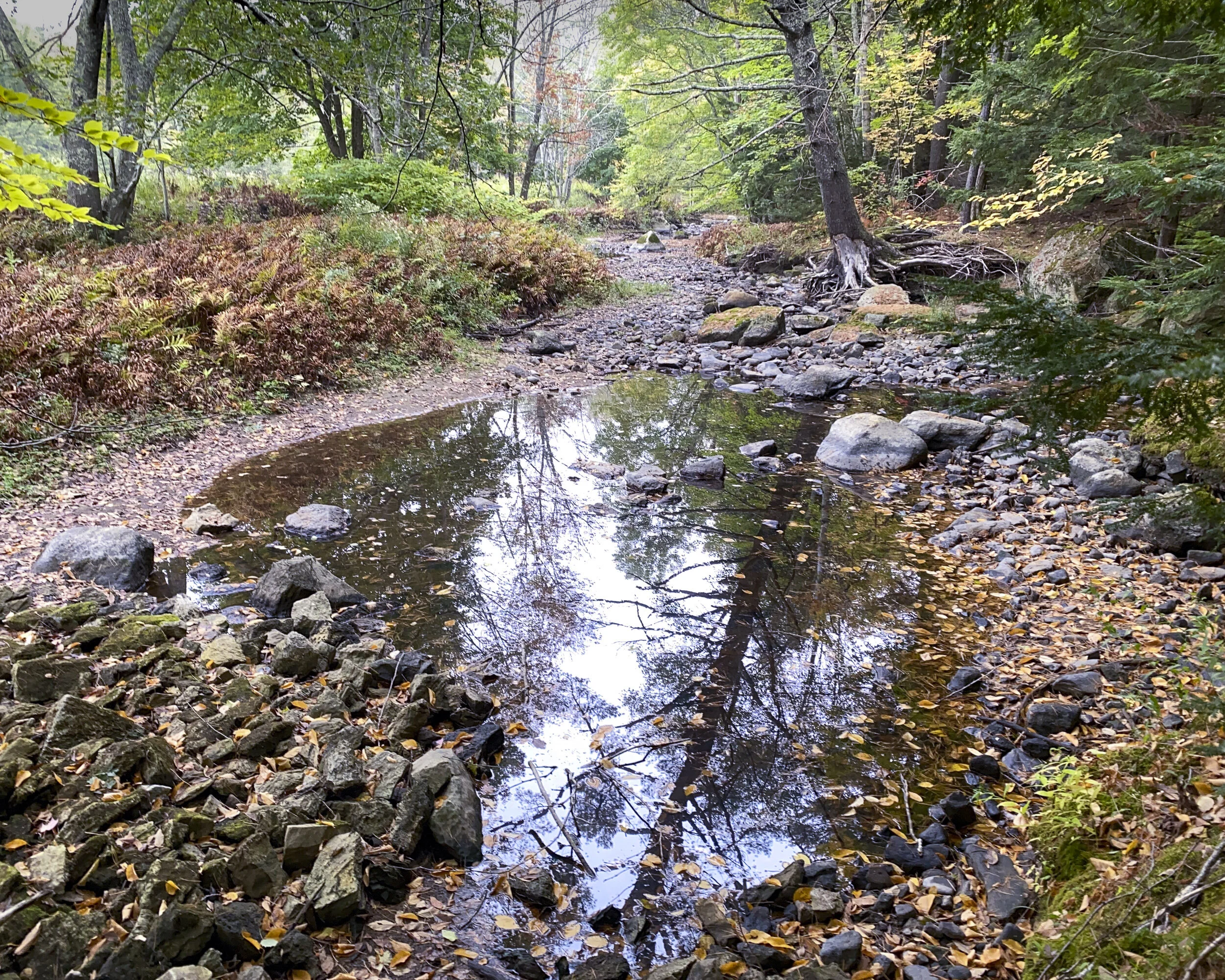 Goose River — Judy O'Dell