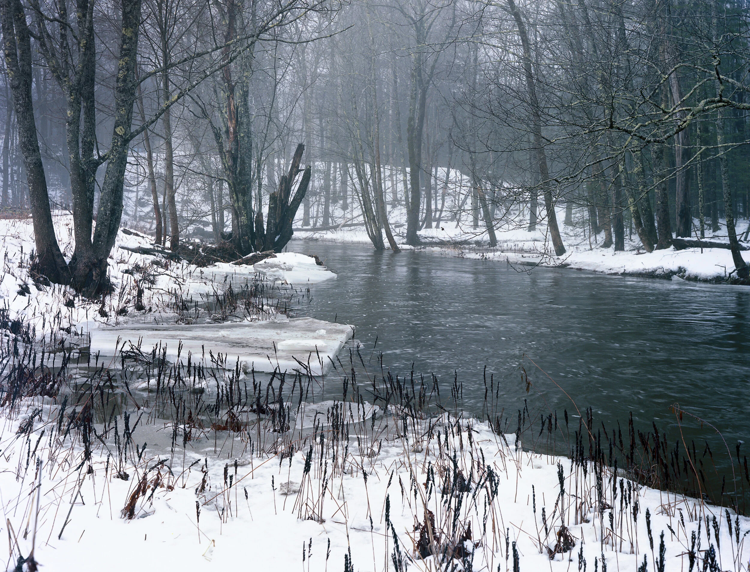 Goose River — Judy O'Dell