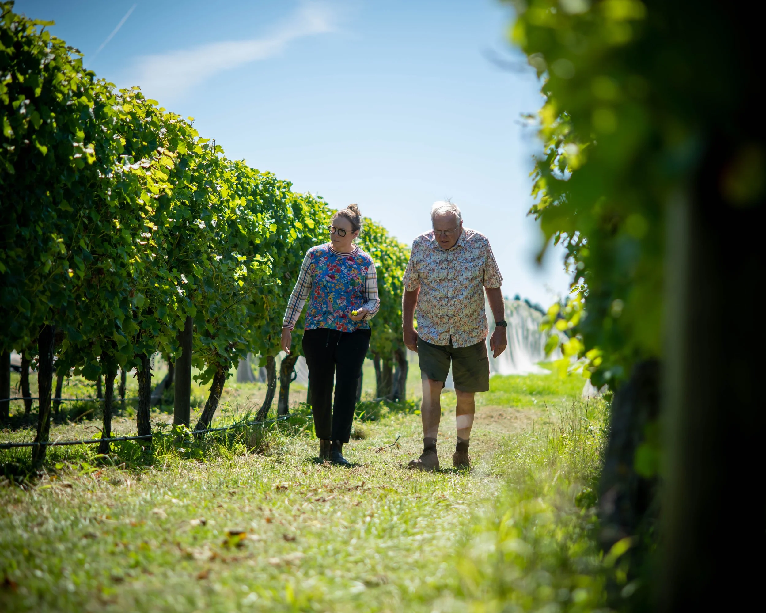 Seifried Family - Seifried Estate Winery — Taste Nelson Wines