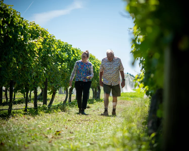 Seifried Family - Seifried Estate Winery — Taste Nelson Wines