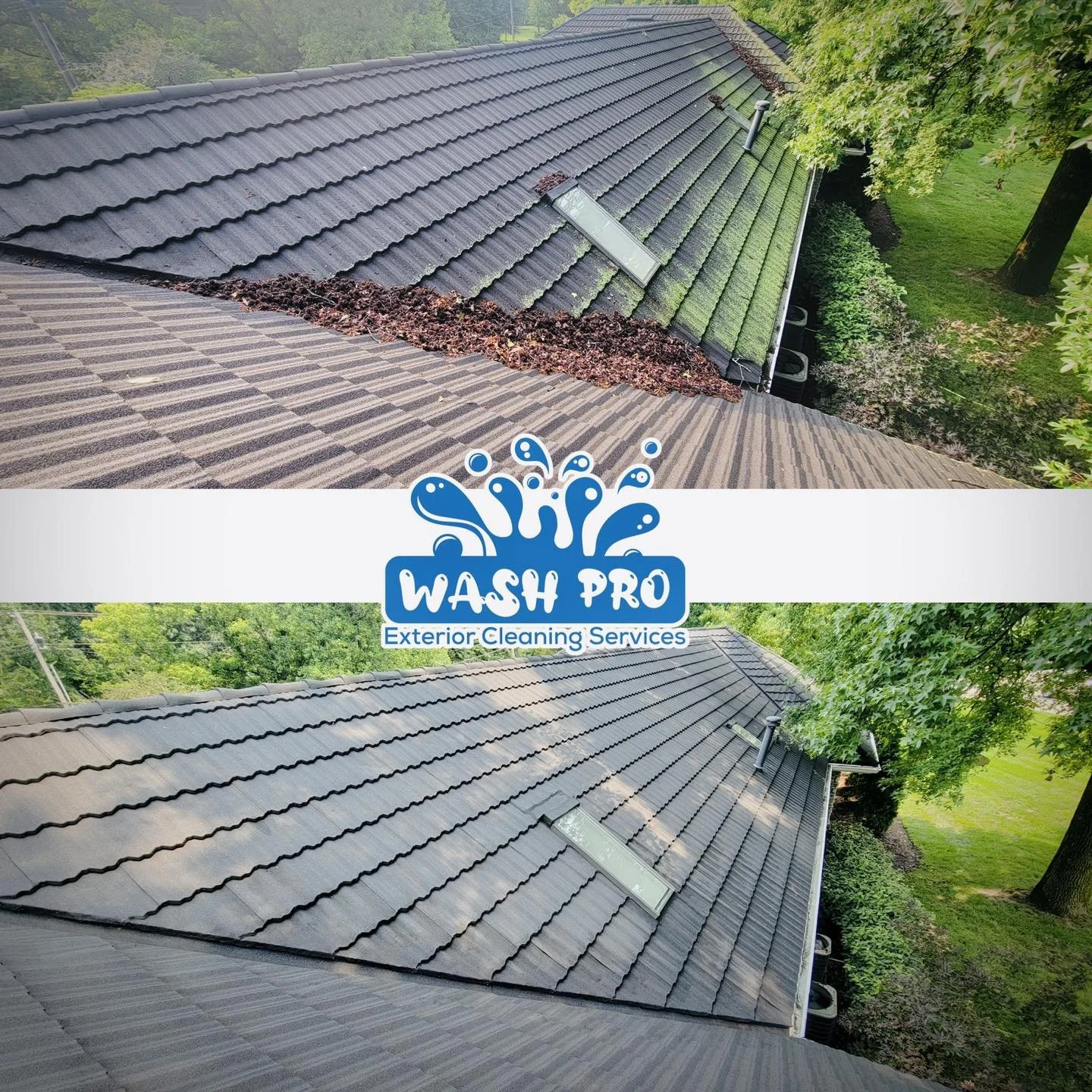Roof Cleaning the Safe Way — Wash Pro Exterior Cleaning Services
