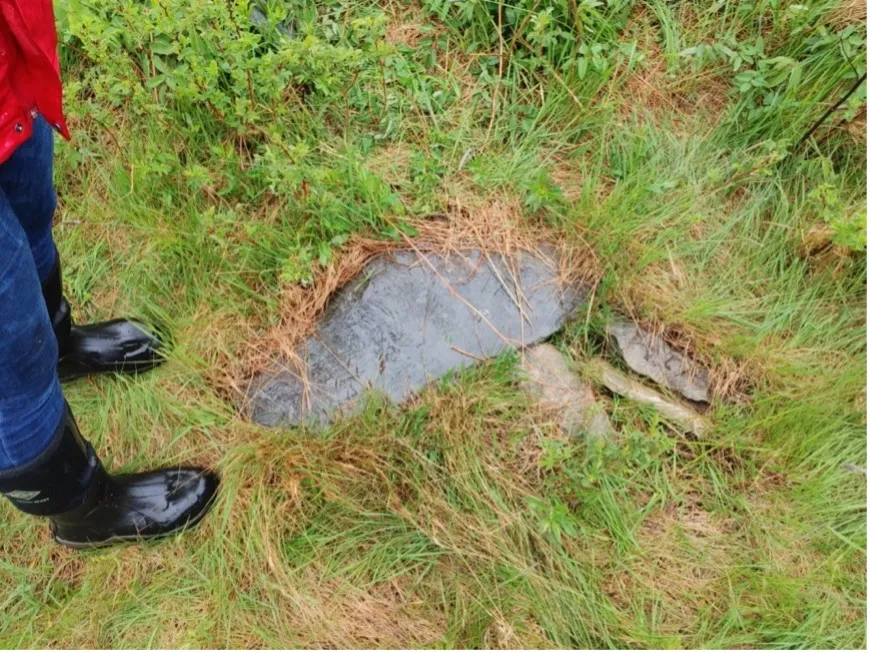 Field Stones, Post Holes, and Unmarked Graves: Burial Commemoration ...
