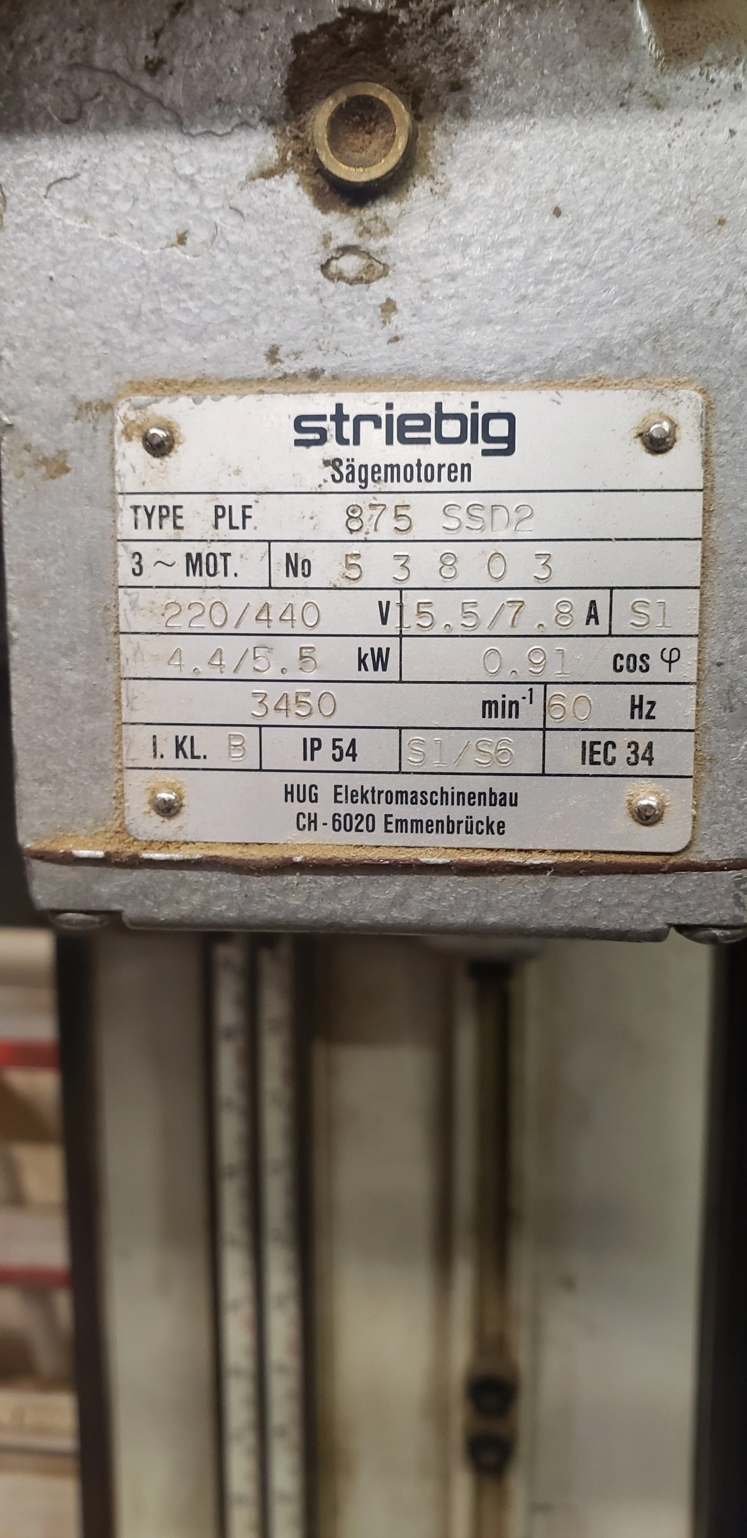 Striebig Standard II Vertical Panel Saw 1994 (Used) — LIMZ MACHINERY GROUP