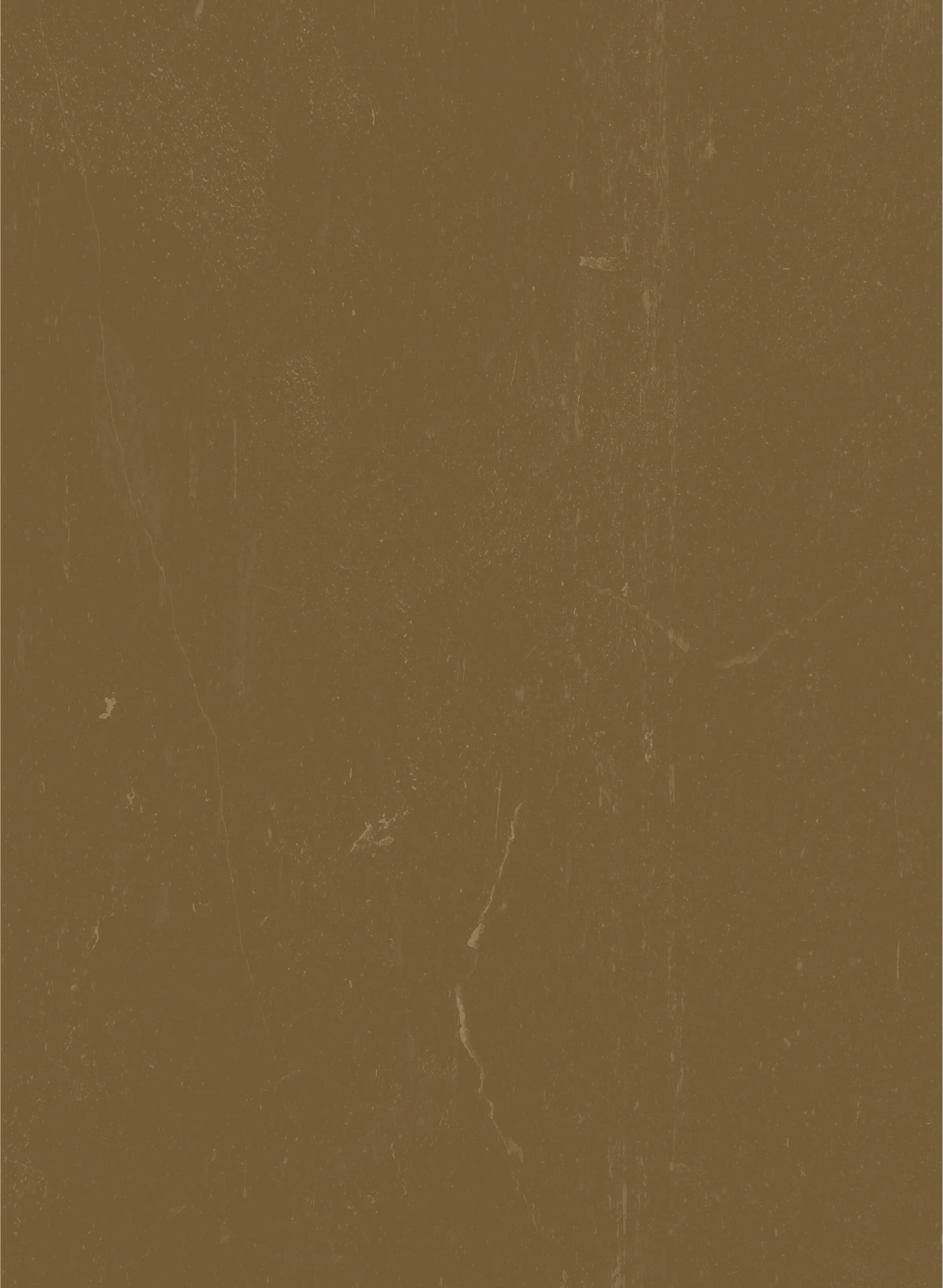 About — Tembo Tones