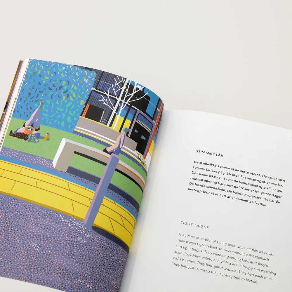 The book shows a series of new works by Norwegian artist Hanne Friis ...