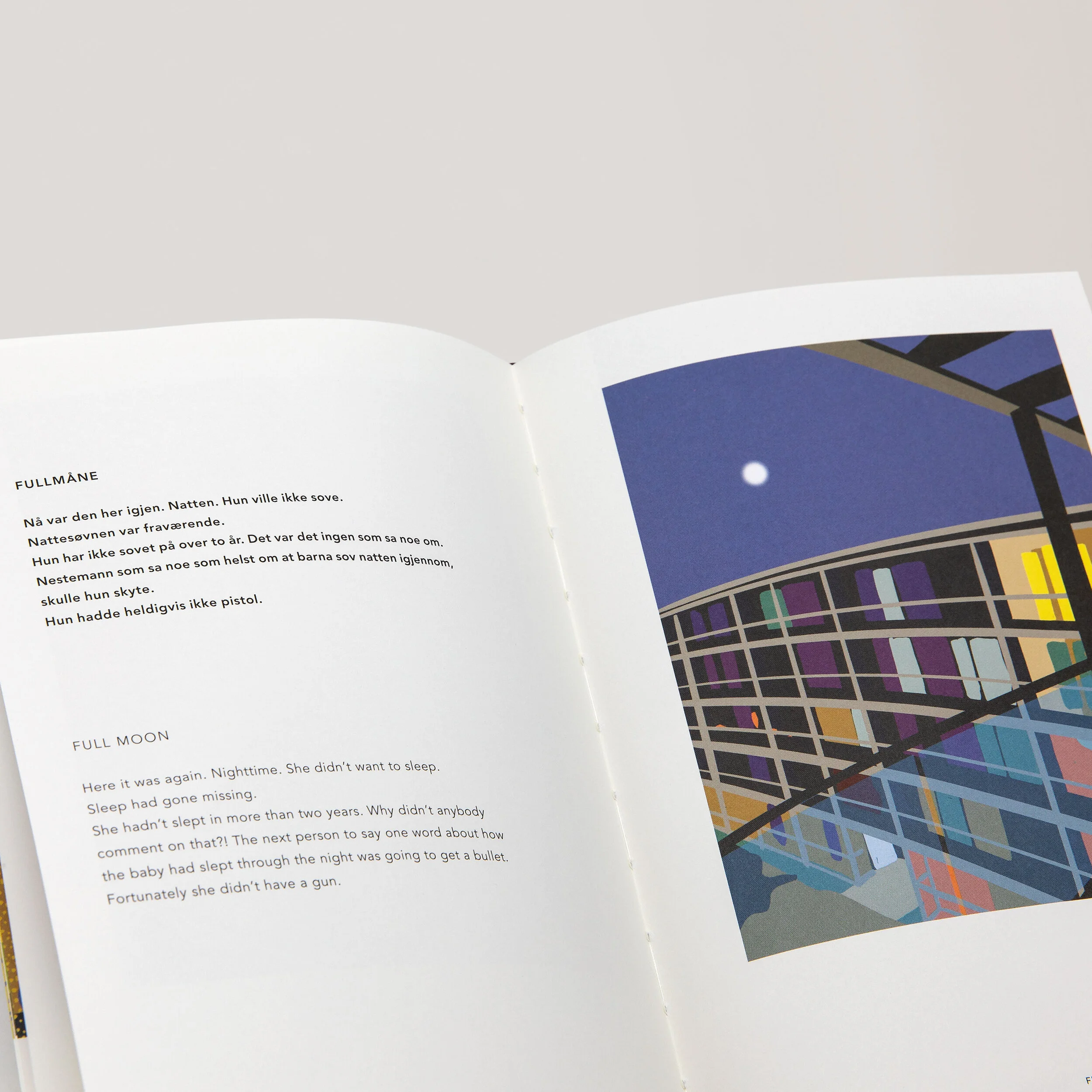 The book shows a series of new works by Norwegian artist Hanne Friis ...