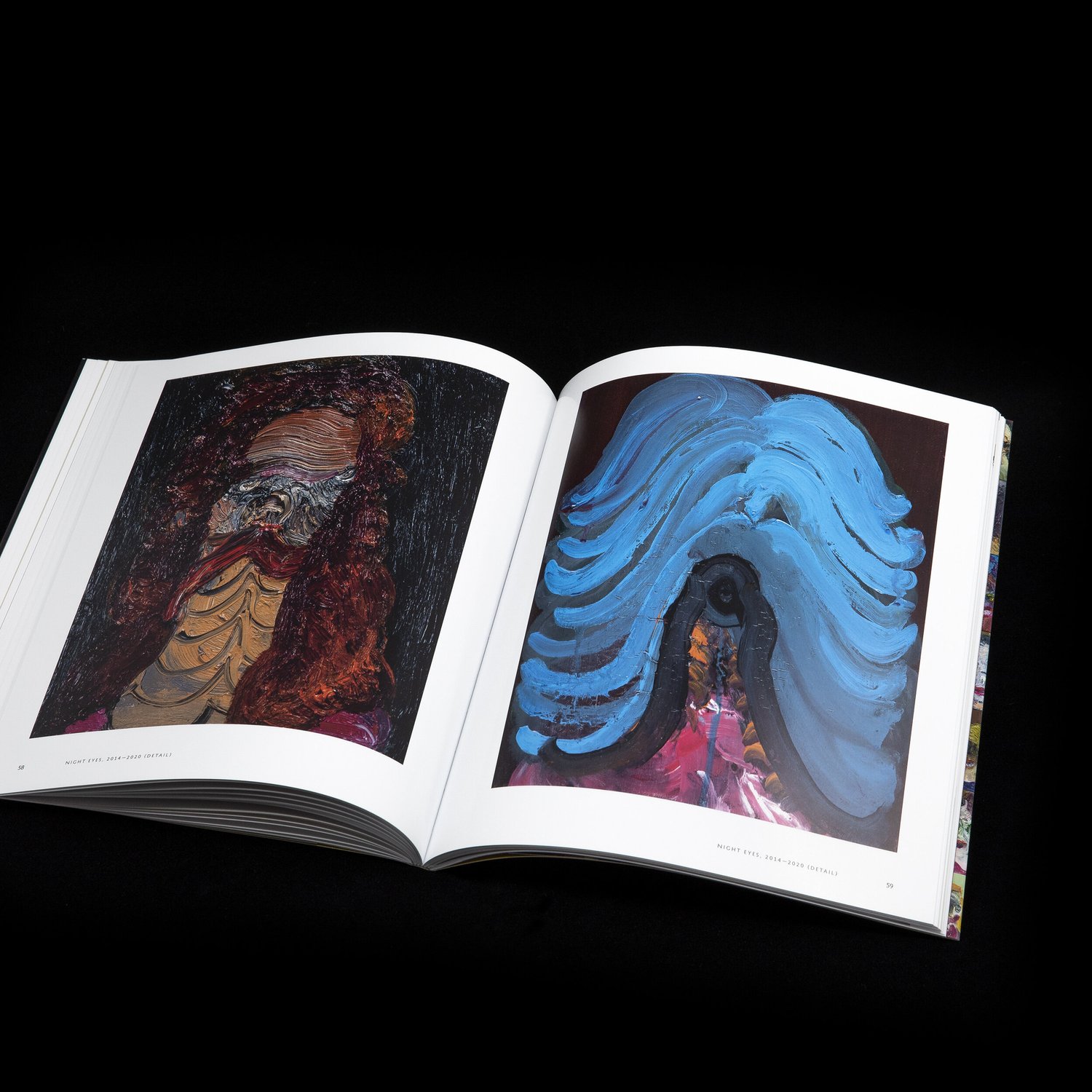 The book shows a series of new works by Norwegian artist Hanne Friis ...