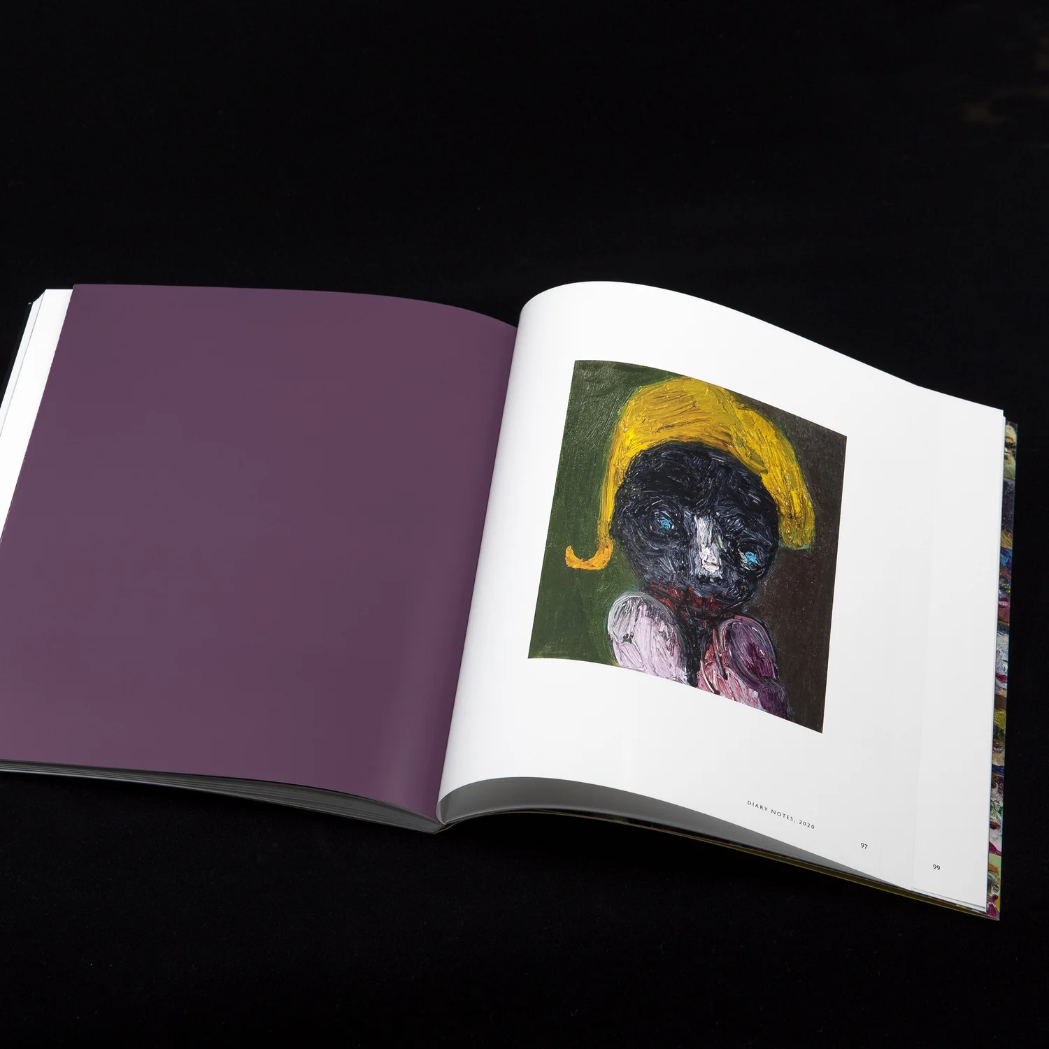 The book shows a series of new works by Norwegian artist Hanne Friis ...
